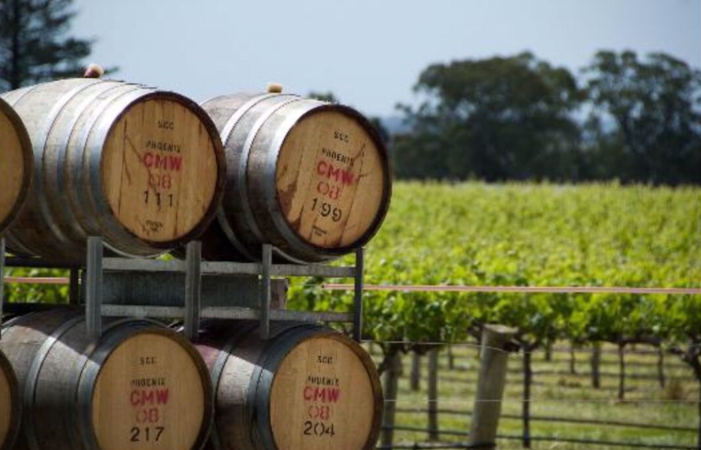 Bertumbuh dalam Kristus | RENUNGAN KRISTEN